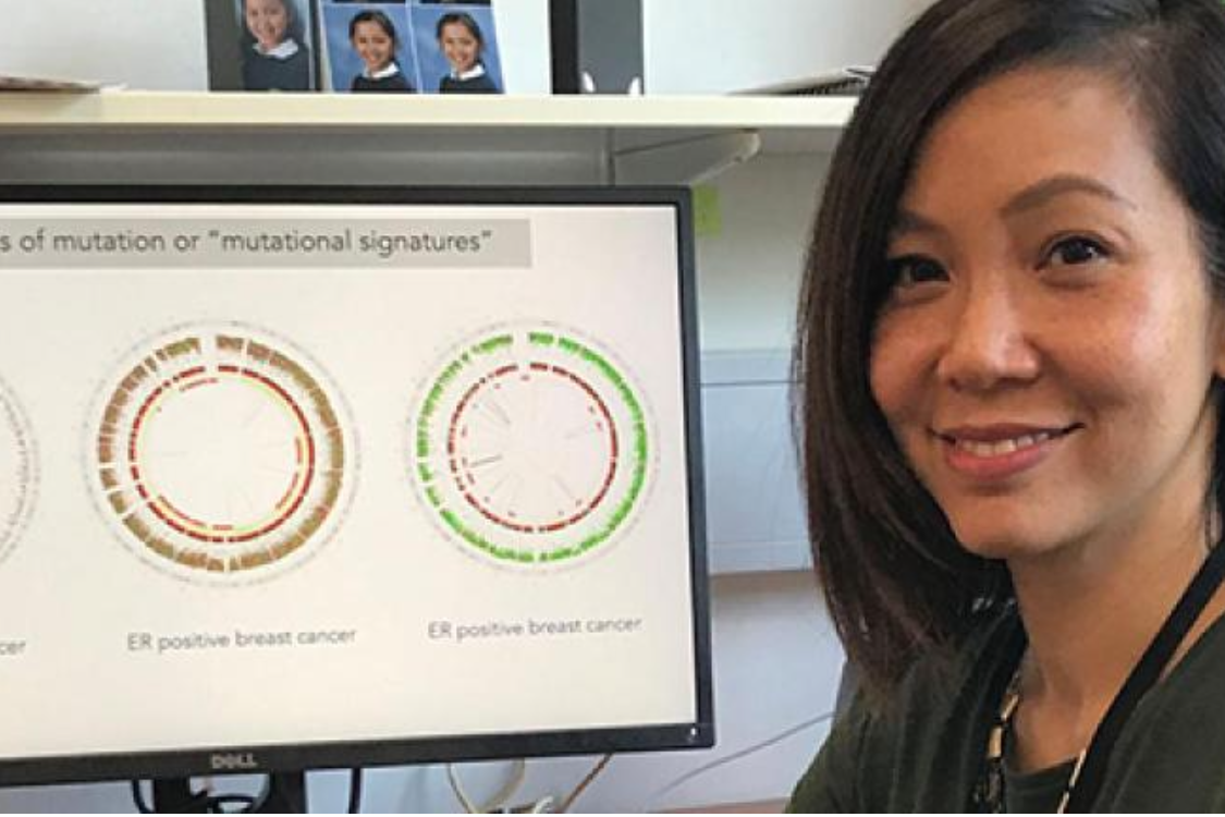 New cancer algorithm flags genetic weaknesses in tumours